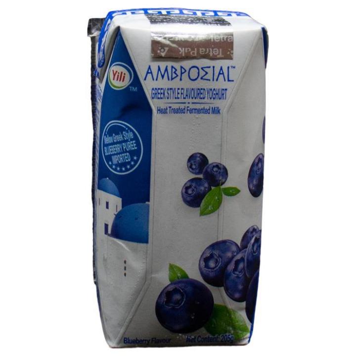 Yili Blueberry Greek Yogurt 205g | Lazada PH