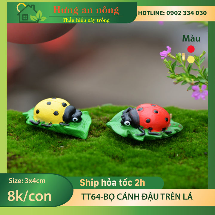 TT64 - BỌ CÁNH TRÊN LÁ SIZE LỚN trang trí tiểu cảnh sen đá xương rồng ...