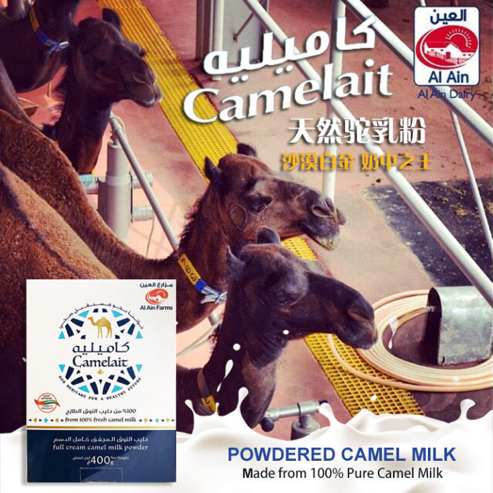 Dubai purchasing authentic ALAin camel milk powder camel milk powder ...