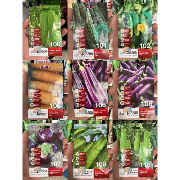 90s Greenovation JOM Tanam Biji Benih Vegetable Seed 蔬菜种子 | Lazada