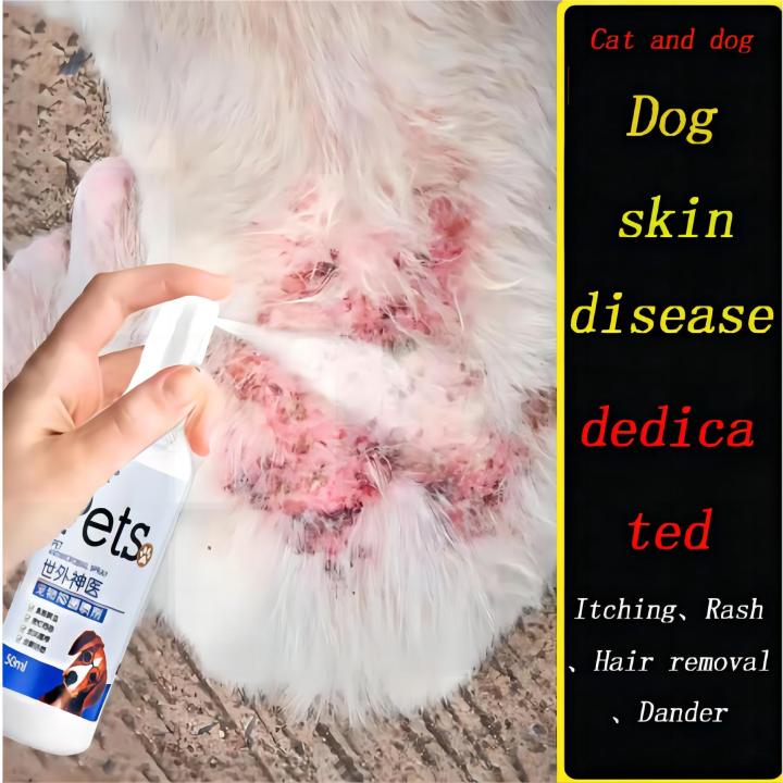 Pet Skin Treatment for dogs Pet Anti fungal Spray Dog Skin Disease ...