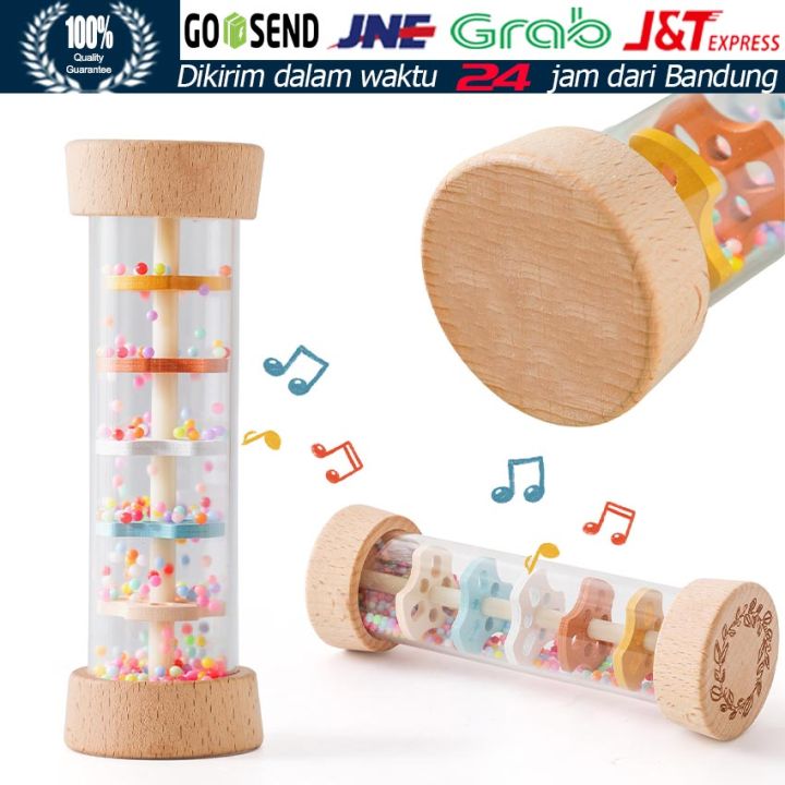 Rain Sound Maker Toy Mainan Aktivitas Bunyi Anak Bayi Kerincingan ...