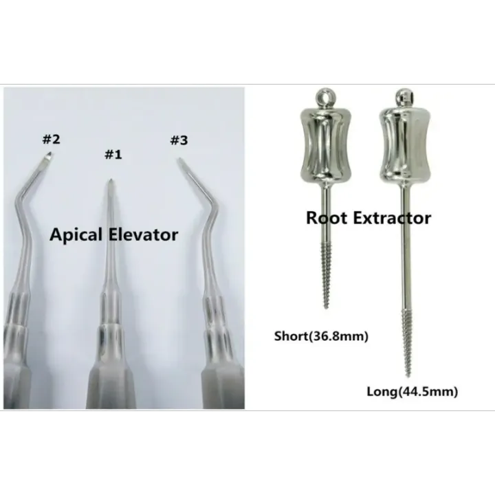 Dental Tooth Extraction Elevator Apical Root Tip Extractor Extracting ...