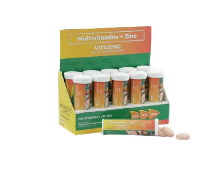 Vitazinc Tablet (10's) | Lazada PH