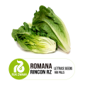 003 Rijk Zwaan RZ Pelletized Lettuce Seeds 100pcs | Olmetie Lalique ...