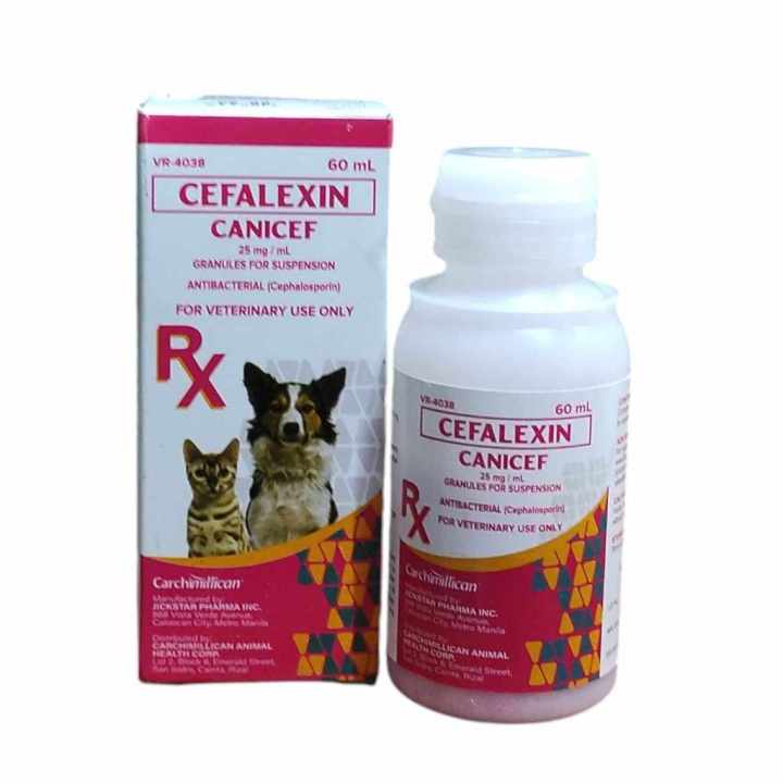 CANICEF Cephalexin Syrup for Dogs & Cats 60mL | Lazada PH