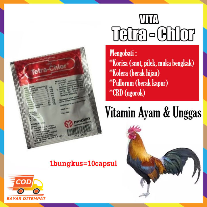 TETRA CHLOR 10 Kapsul Obat untuk Ayam Sakit Obat Ayam Ngorok Pilek CRD ...