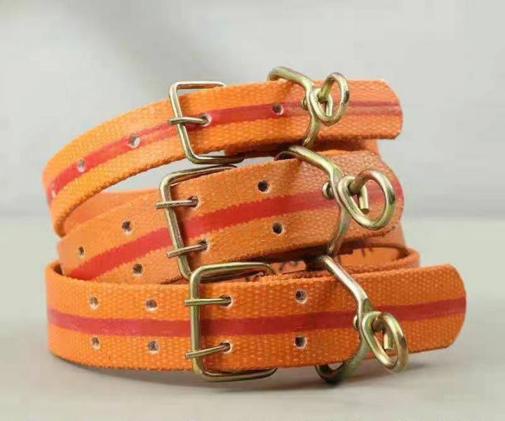 COD DVX Adjustable Heavy Duty Safety Pet Dog Collar Dog Belt | Lazada PH