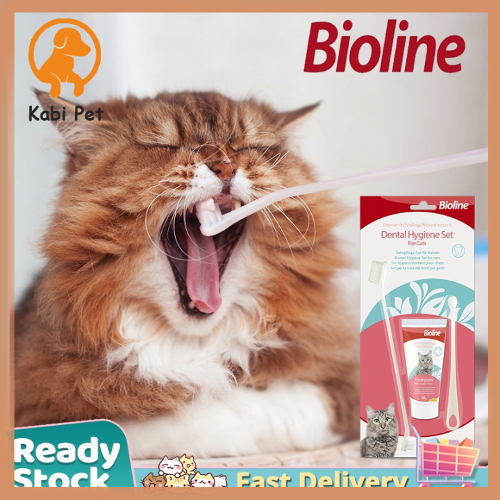 Kabi Bioline Toothpaste & Toothbrush with Cheese Flavor 50g for Cats ...