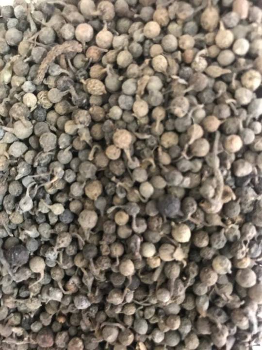 Lada Ekor (val milagu) 100gm packing ready stock | Lazada