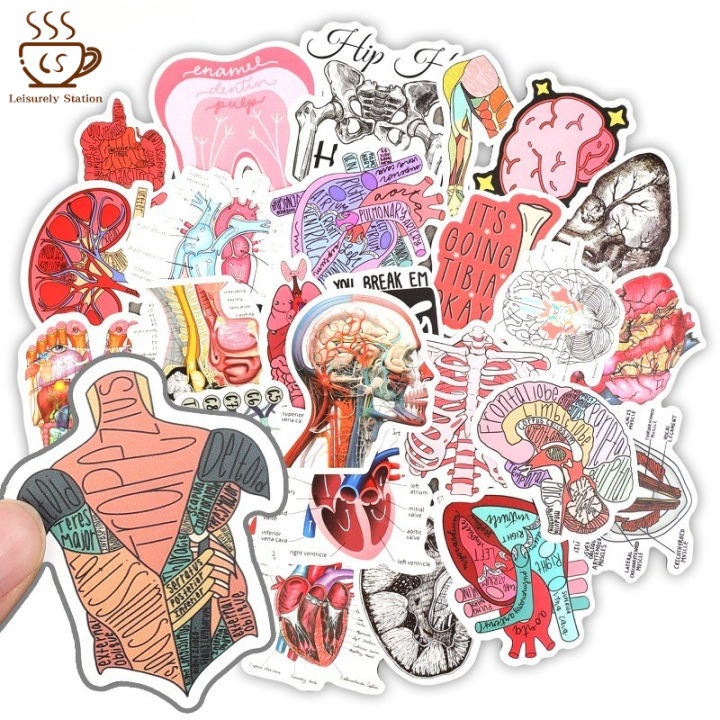 53Pcs/Pack Cartoon Body Organ Sticker Human Anatomy Body Stickers DIY ...