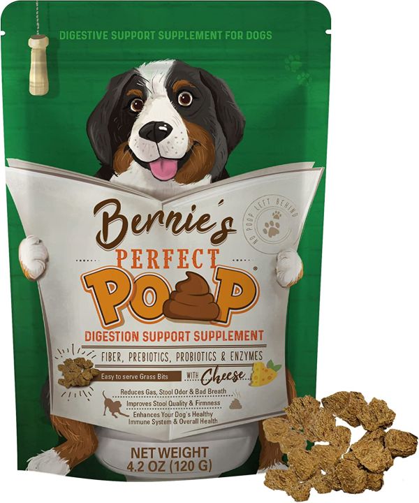 Perfect Poop Digestion & General Health Supplement for Dogs: Fiber ...