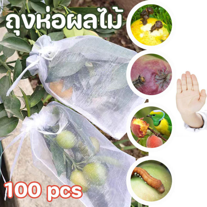 【Junjun】100ชิ้น ถุงห่อผลไม้ ผ้าไม่ทอ สามารถนำกลับมาใช้ได้อีก กันนกแมลงและกันน้ํา | Lazada.co.th