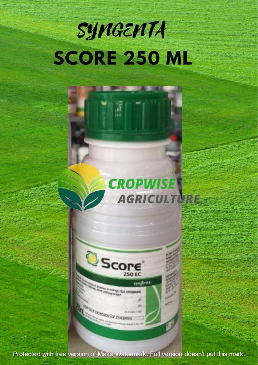 Syngenta Score Fungicide 250ml | Lazada PH