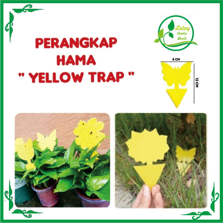 Perangkap Hama tanaman Yellow Trap | Lazada Indonesia