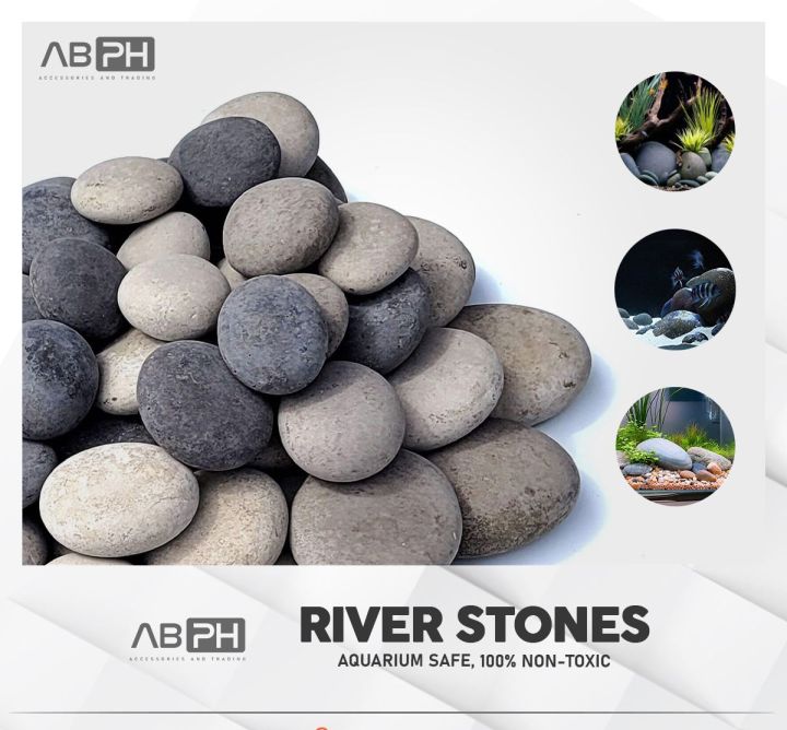 River Stones for Aquascaping and Aquarium Design | Lazada PH