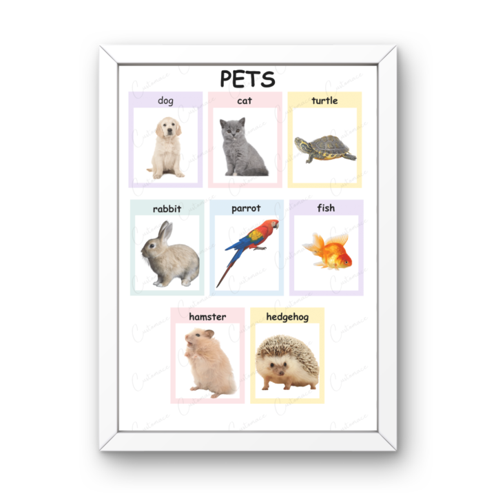 PASTEL PETS LAMINATED EDUCATIONAL LEARNING WALL Chart for Kids ...
