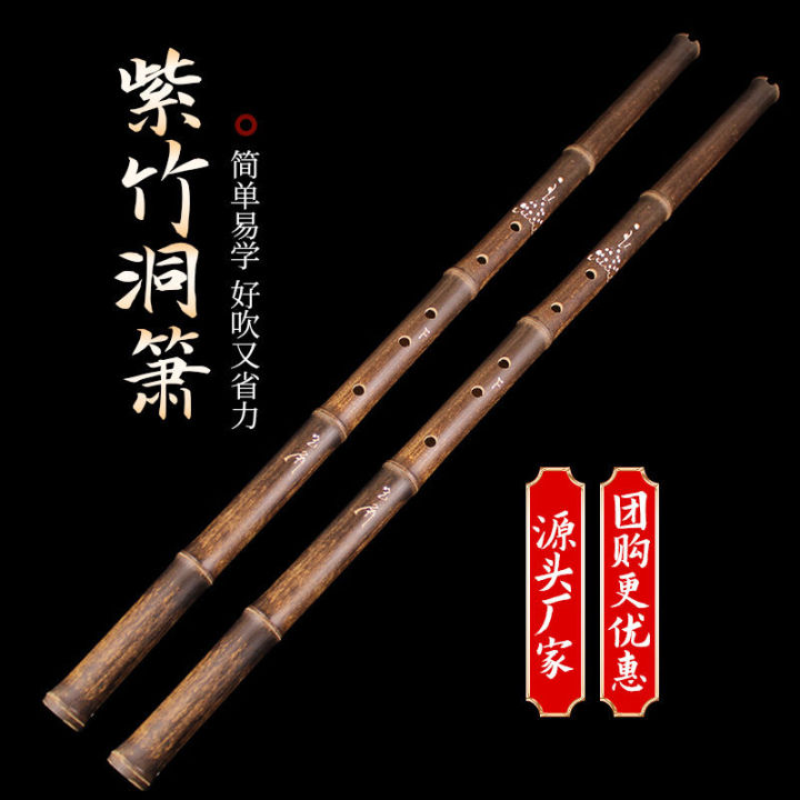 Chinese Bamboo Flute Professional Black Bamboo Xiao Beginner G Tune F ...