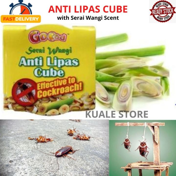 SHIP NOW! Lemongrass Citronella Fragrant Serai Wangi Anti Cockroach ...