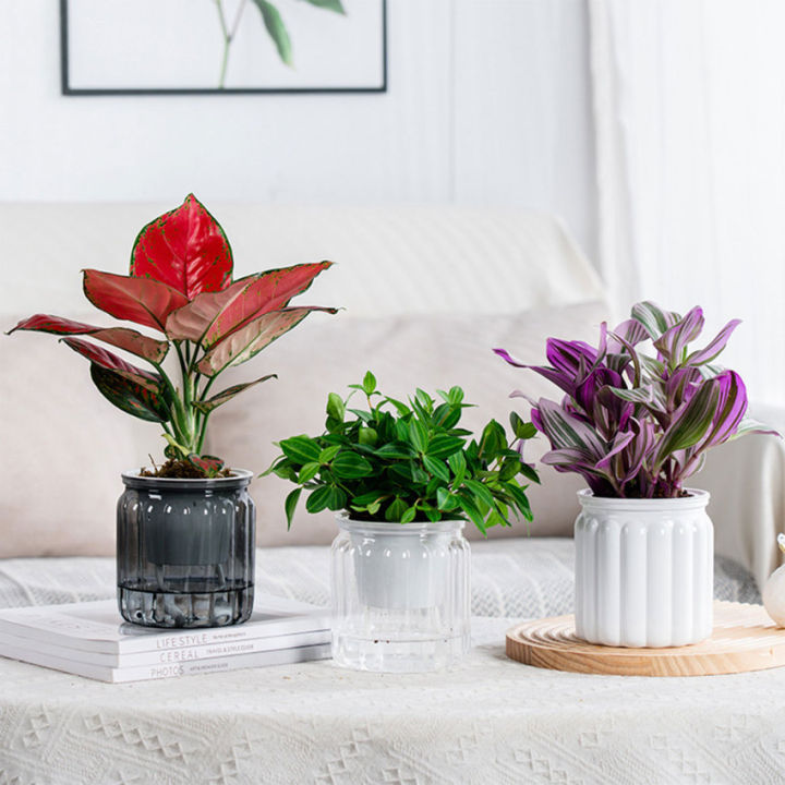Self Watering Plant Pot Transparent Plastic Flower Pot Double-Layer ...