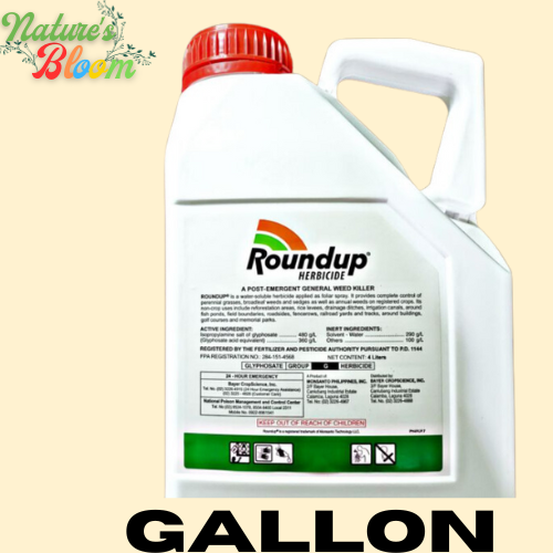 ROUND UP HERBICIDE GLYPHOSATE 480 SL (1 GALLON) BY BAYER | Lazada PH