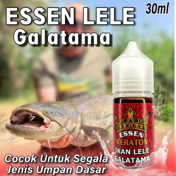 Essen Super Premium Keraton Khusus Mancing Galatama Lele Paling Jitu ...