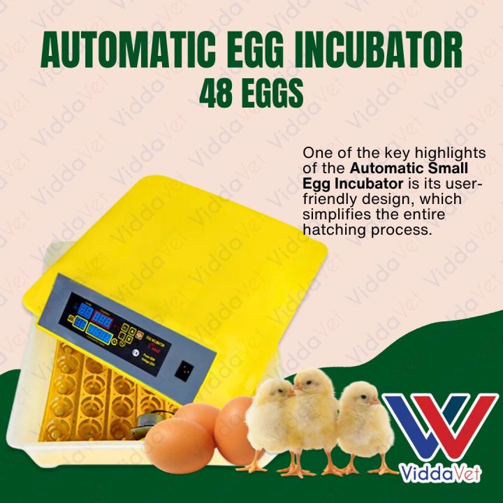 Efficient Egg Hatching Technology EGG INCUBATOR YZ 48 CAPACITY ...