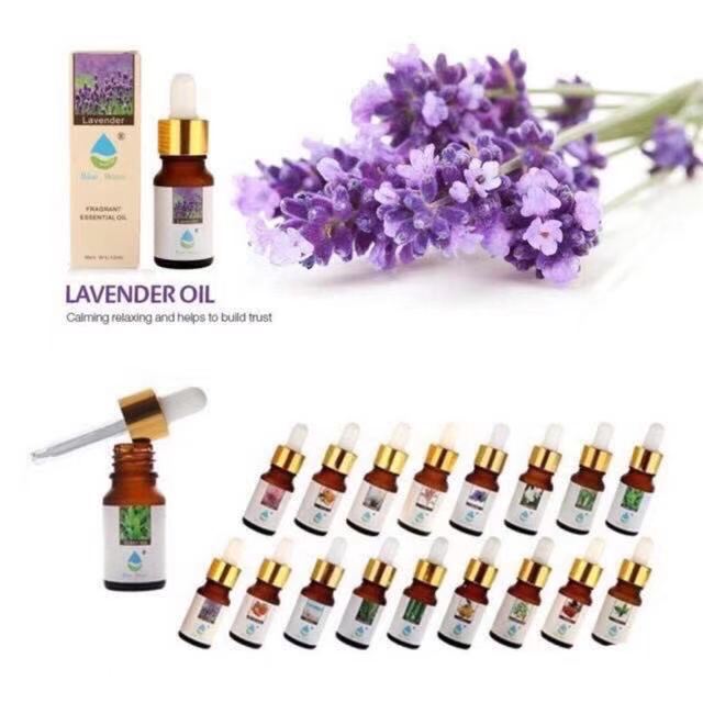 GLTY Set of 10 Aromatherapy Essential Oils for Humidifier | Lazada PH