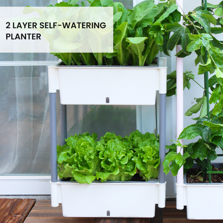 Locaupin 2 Layer Rectangular Self Watering Shelf Water Level Indicator ...