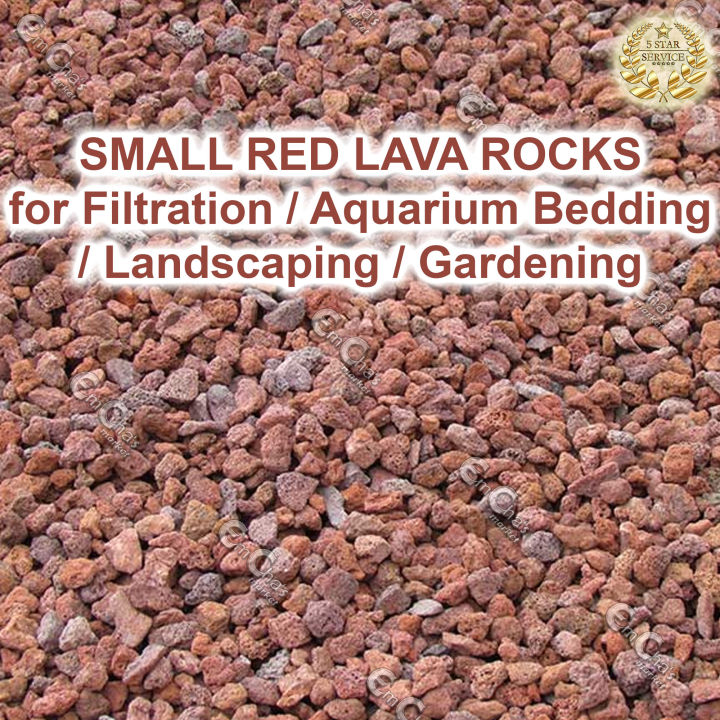 1kg SMALL RED Lava Rocks Volcanic Rock For Aquarium Filtration Pond ...
