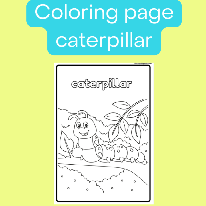 [I4] Insect - caterpillar colouring page | Halaman mewarna caterpillar ...