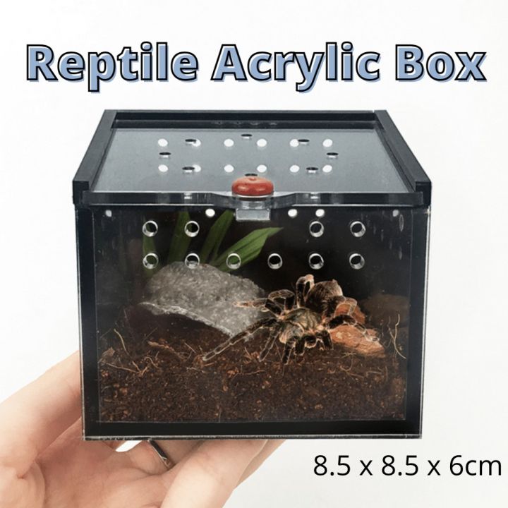 Reptile Acrylic Feeding Box Breeding Habitat Snake Spider Lizard ...