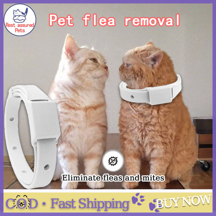 Pet flea and anti-lice collar Pet external insect repellent ring ...