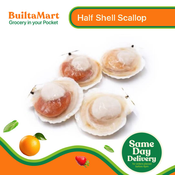 Frozen Imported Hokkaido Half Shell Scallop (500g) | Lazada PH