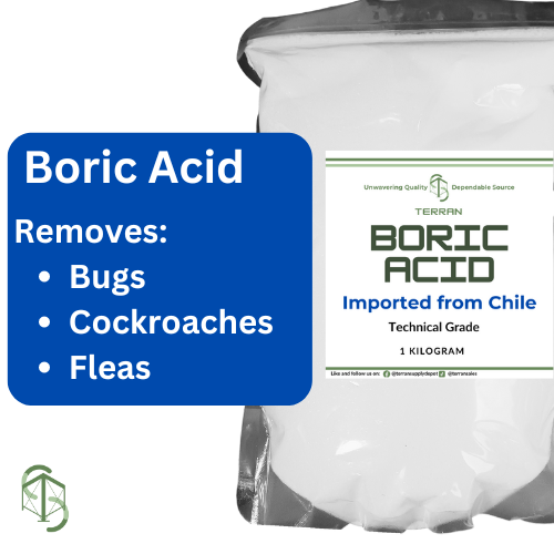 Boric Acid Anti-bug 1Kilo Pouch | Lazada PH