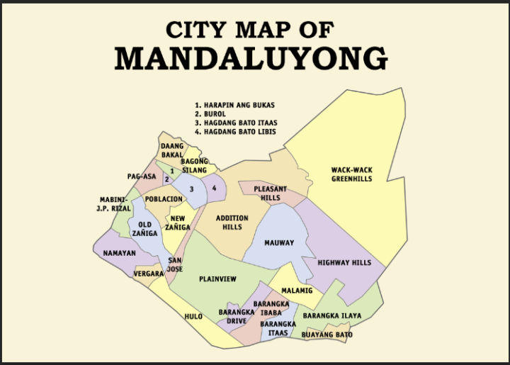 Mandaluyong City Map Waterproof A4 Laminated Chart | Lazada PH