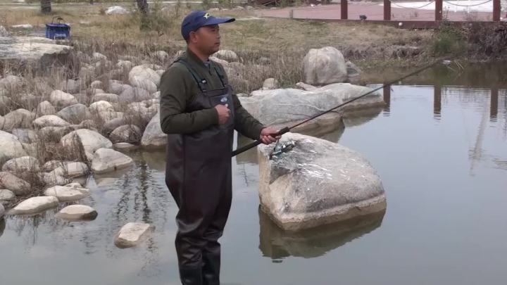 กางเกงน้ำครึ่งความยาวยี่ห้อ Haixiang ตกปลาขุดรากบัวตกปลาลุยกางเกงเอ็น ...