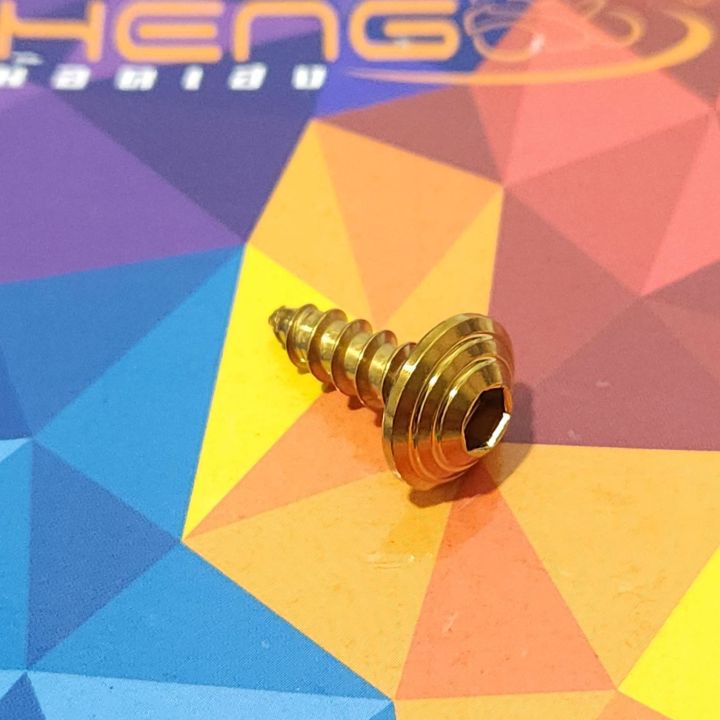 Durable M5 x 15mm HENG Gold/White Motorcycle Fairing Screws | Lazada PH