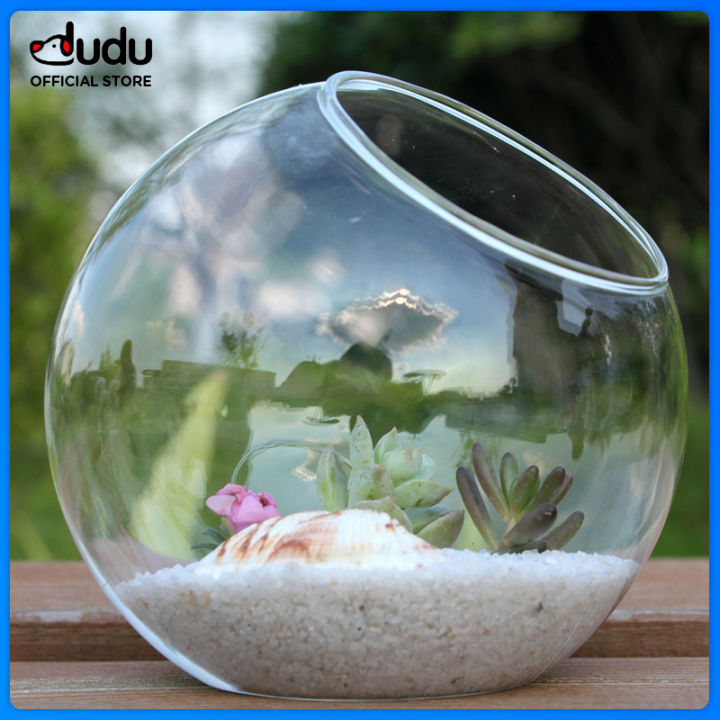 DUDU Pet Small Fish Tank Aquarium Succulent Glass Vas Ideal Desktop ...