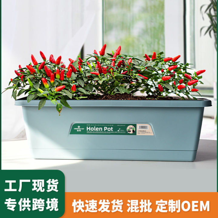Sfdfg Chậu Hấp Thụ Nước Tự động để Trồng Ban Công Sân Thần Thánh Máng Hoa Lười Hình Chữ Nhật