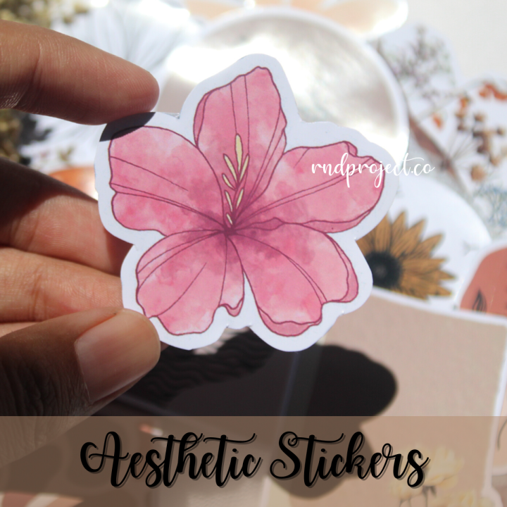 Sticker Aesthetic Sticker Custom Setiker Sticker Deco Stiker Aesthetic ...