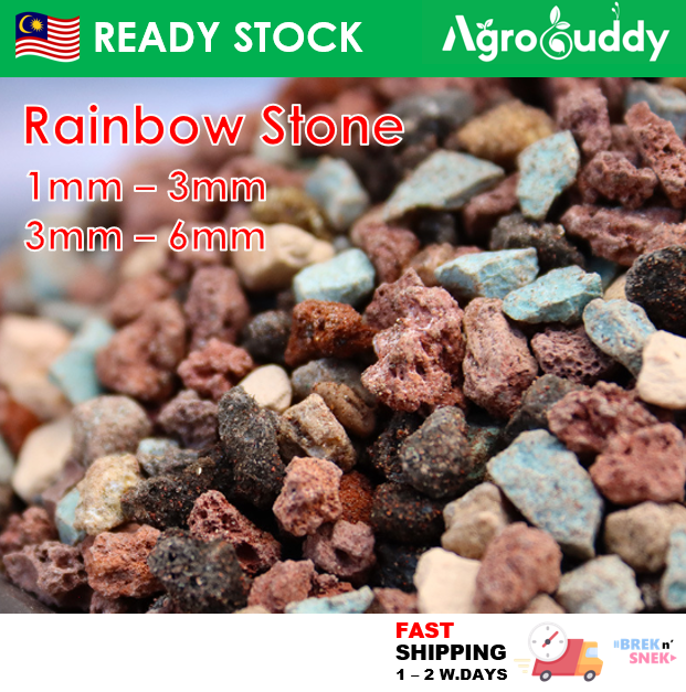 [1KG] Agrobuddy Rainbow Stone Mini Garden Succulent Cactus Granular ...