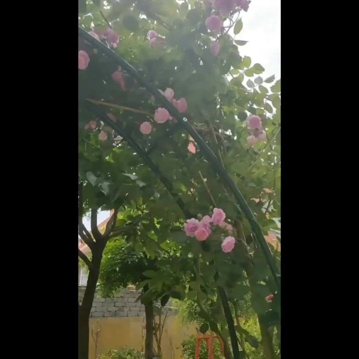 New Iron Flower Stand Climbing Garden Villa Balcony Plant Bracket ...