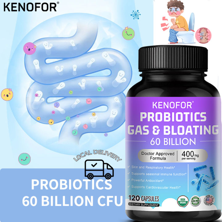 Probiotic Supplement for Adults Supports Digestive Health Immune System ...