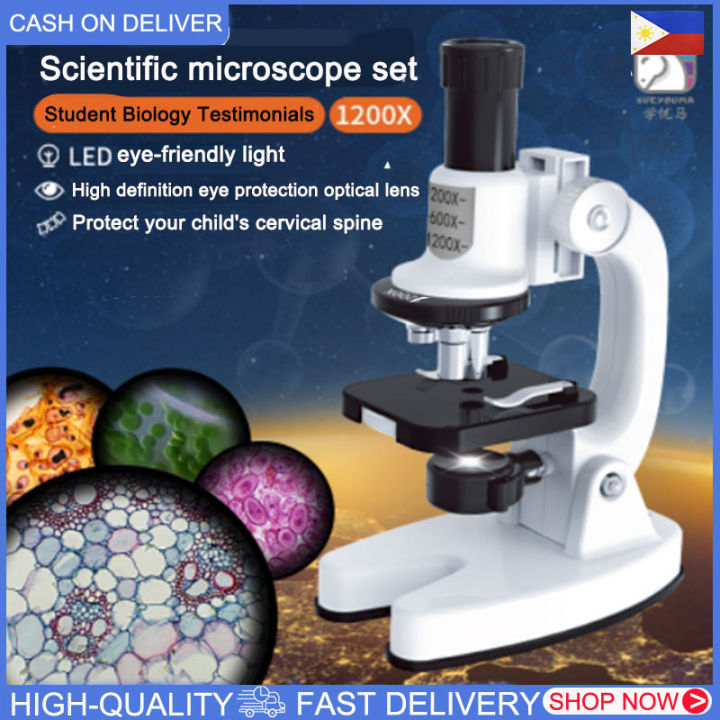 Microscope set toy, early childhood education science laboratory, 1200X ...