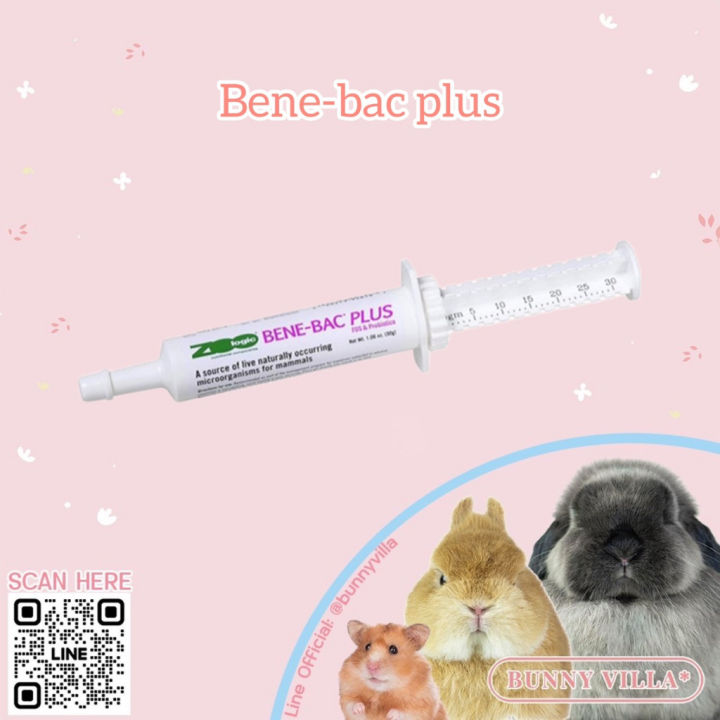 BENE-BAC PLUS GEL อาหารเสริมจุลินทรีย์เบเนแบคพลัส 30g. | Lazada.co.th