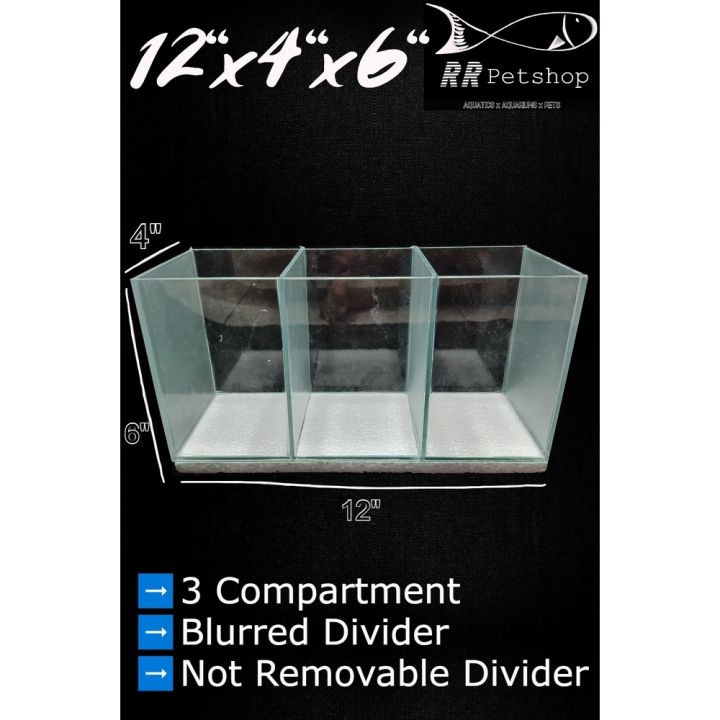 AJDL sellSuincang BETTA TANK l AQUARIUM DIVIDER 12x4x6 | Lazada PH