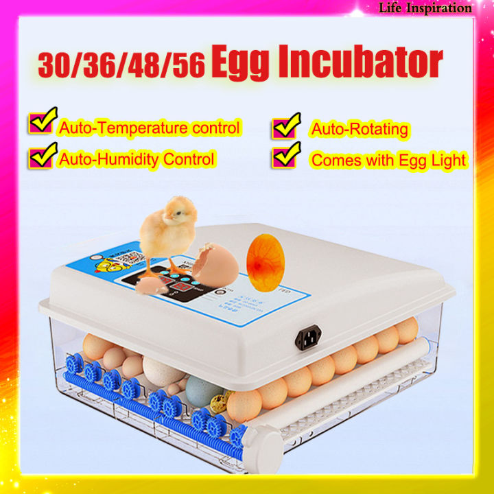 【On Stock】220V 12/16/24/30/36/48/56/64/72/96/108/120 Egg Brooder ...