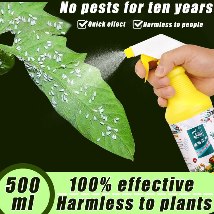 🌻All the pests are dead🐛Plant insecticide spray 500ml No harm to plants ...
