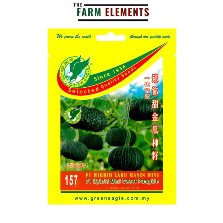GE 157 F1 Hybrid Mini Sweet Pumpkin/ F1 Hibrid Labu Mini Manis (10 ...